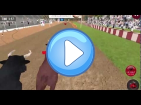 Carreras de Toros🐾🐶, Un juego 100% GRATIS, de Animales
